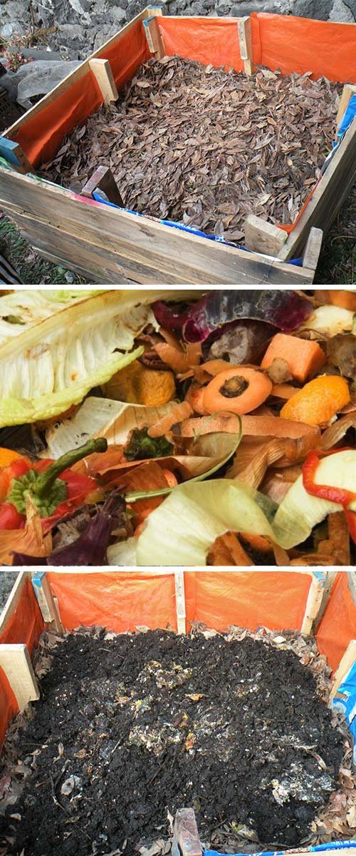 como-hacer-una-composta – Replantea